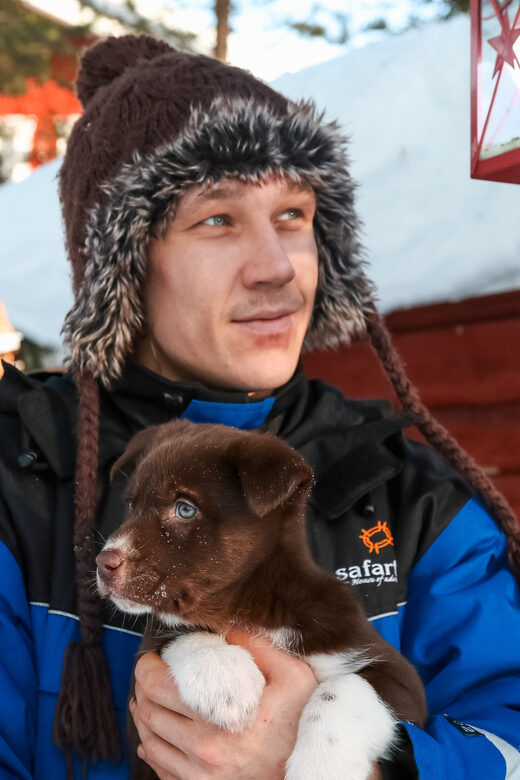 Rovaniemi: Daytime Husky Safari - The Kennel Visit and Post-Ride Relaxation