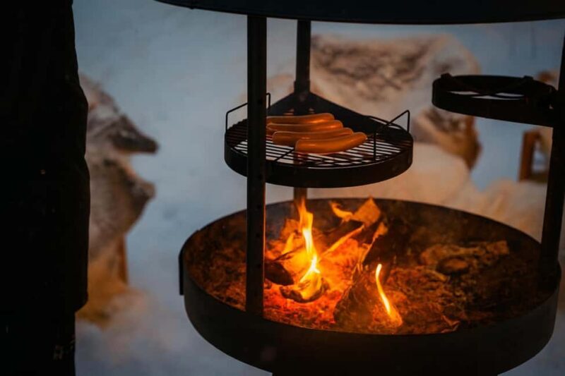 Rovaniemi: Drive New 2025 Snowmobiles - Aurora Adventure - Final Thoughts