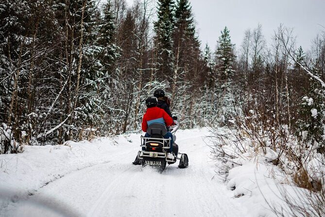Rovaniemi: Drive New 2025 Snowmobiles on Arctic Safari & BBQ - Key Points
