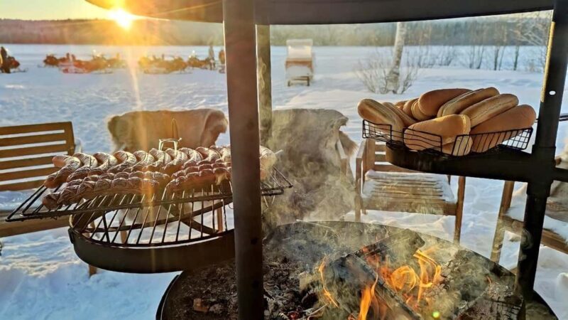 Rovaniemi: Drive New 2025 Snowmobiles on Arctic Safari & BBQ - Practical Tips for Your Snowmobiling Adventure