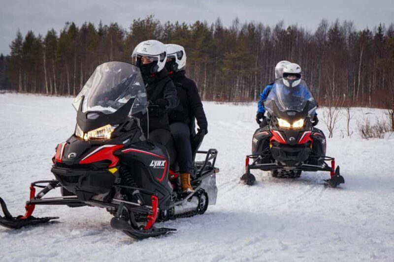 Rovaniemi: Drive New 2025 Snowmobiles on Arctic Safari & BBQ - Who Should Consider This Tour?