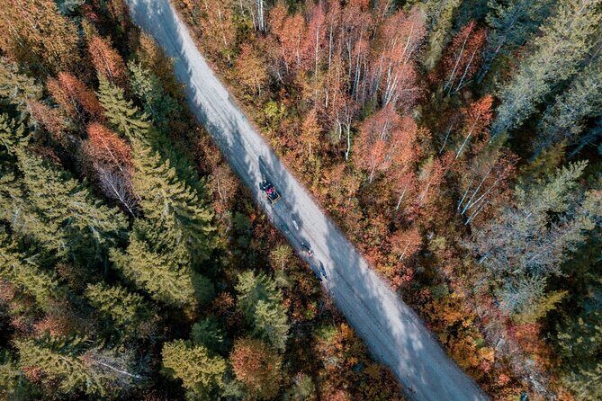 Rovaniemi: Drive Your Own Husky Team (Autumn) & BBQ - Who Is This Tour Best For?