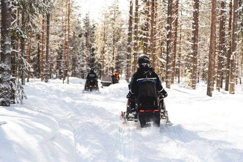 Rovaniemi: Easy Snowmobile Safari - Practical Tips for Participants