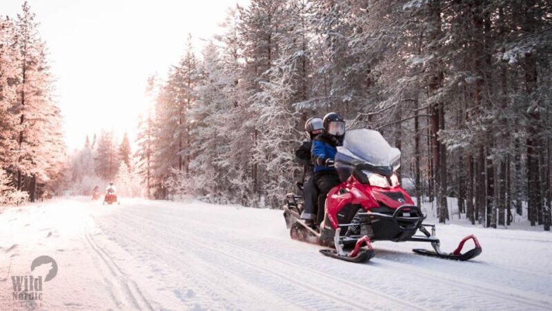 Rovaniemi: Easy Snowmobile Safari - Authentic Feedback from Travelers