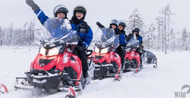 Rovaniemi: Easy Snowmobile Safari - Who This Tour Is Best For