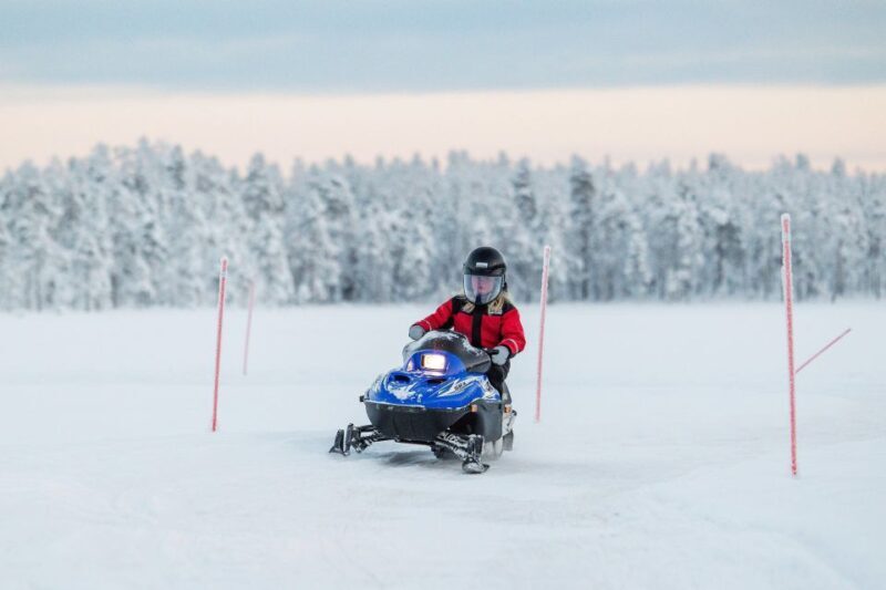 Rovaniemi: Family Fun Day with Huskies and Reindeer - Key Points