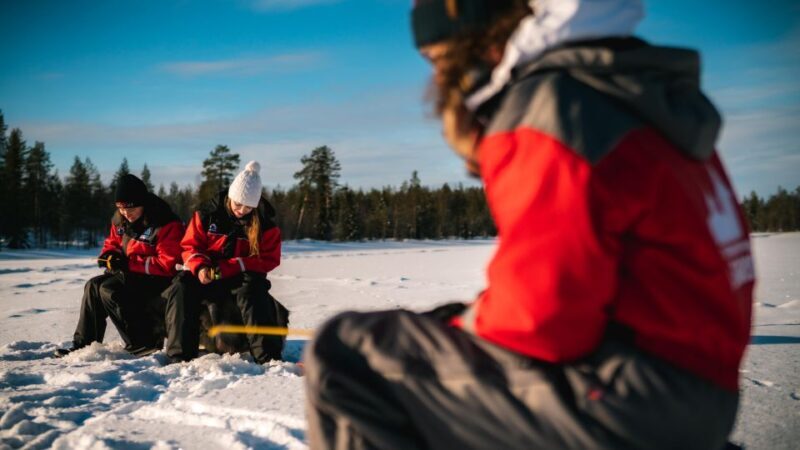 Rovaniemi: Family Fun Day with Huskies and Reindeer - Why This Tour Offers Great Value