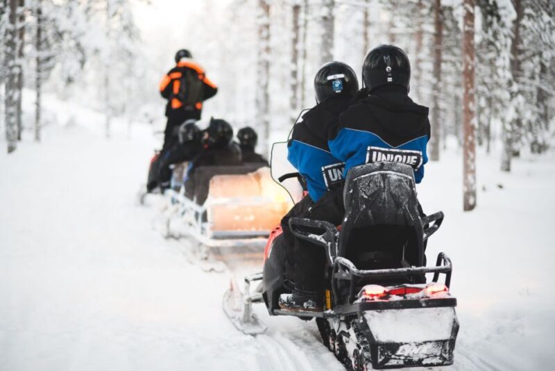 Rovaniemi: Family Snowmobile Safari with Campfire and Snacks - Who Would Love This Tour?