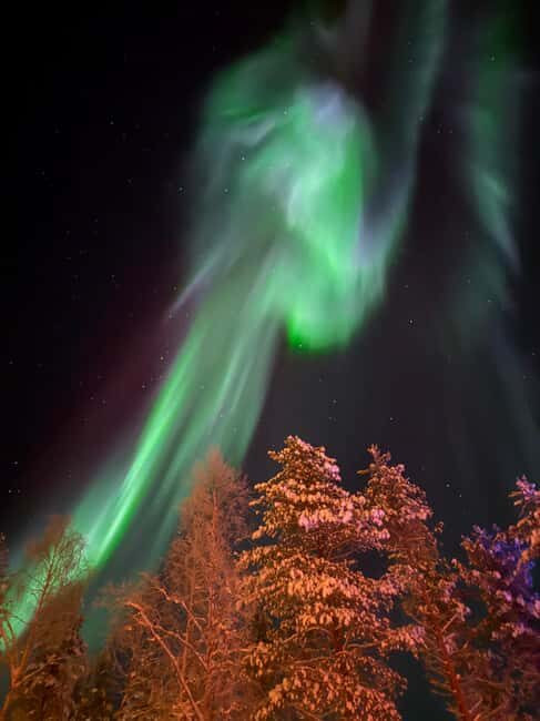 Rovaniemi: Finnish Sauna & Private Jacuzzi - The Sum Up