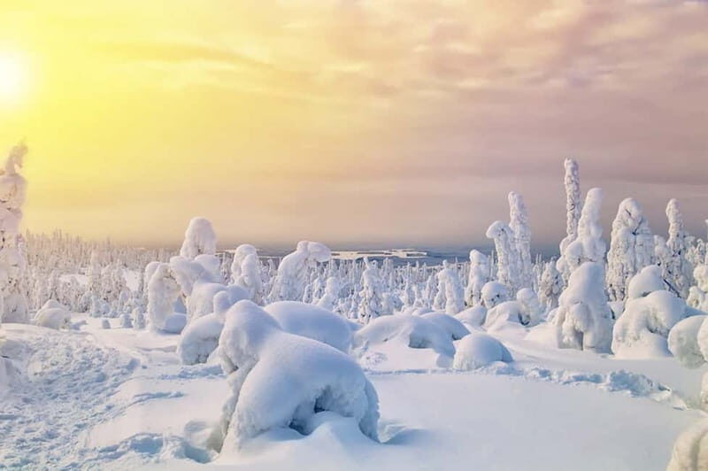 Rovaniemi: Full-Day Highlights Tour with Buffet Lunch - The Sum Up