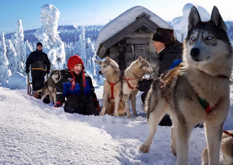 Rovaniemi: Full-Day Highlights Tour with Buffet Lunch - FAQ
