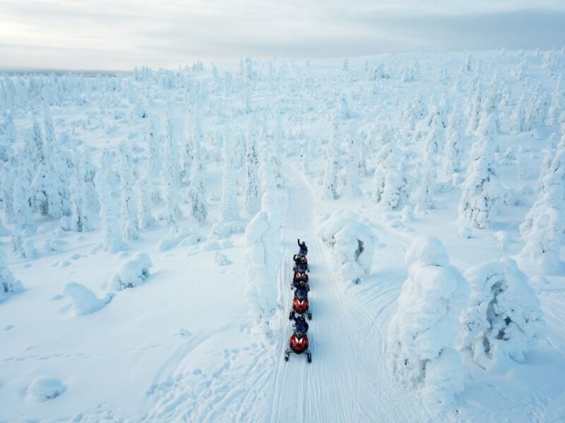 Rovaniemi: Full-Day Snowmobile Safari into the Wilderness - An In-Depth Look at the Full-Day Snowmobile Safari