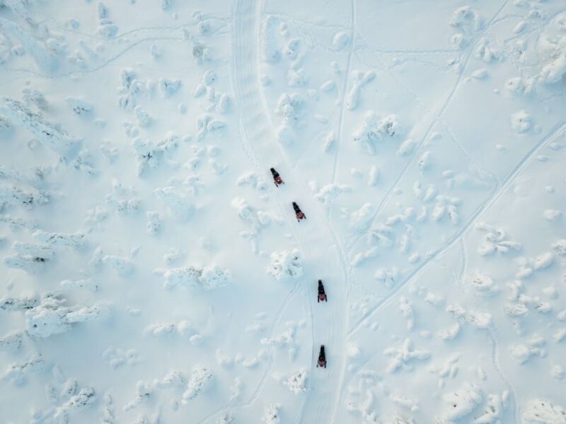Rovaniemi: Full-Day Snowmobile Safari into the Wilderness - FAQs