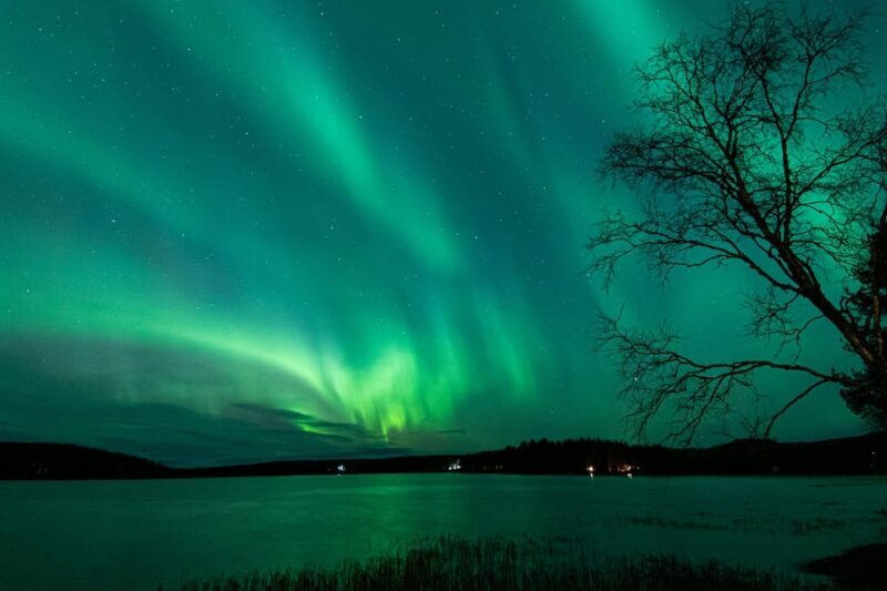 Rovaniemi: Guaranteed Aurora Hunting Tour with Local Guide - The Guarantee and Flexibility