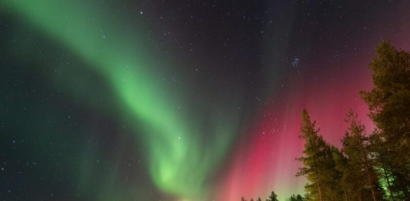 Rovaniemi: Guaranteed Aurora Hunting Tour with Local Guide - Practical Tips for a Successful Night