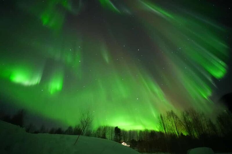 Rovaniemi: Guaranteed Aurora Hunting Tour with Photos&Videos - Key Points