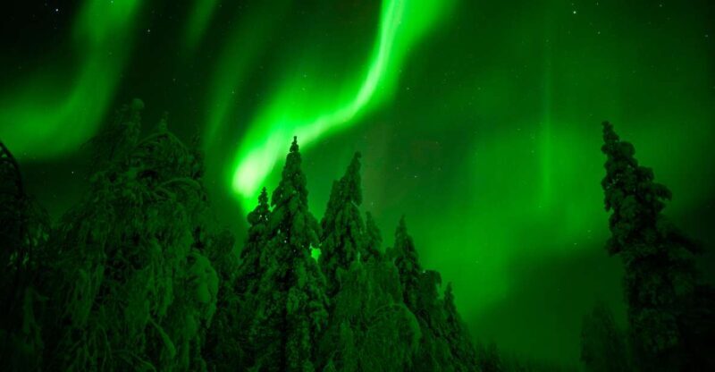 Rovaniemi: Guaranteed Northern Lights Hunting Adventure - Frequently Asked Questions