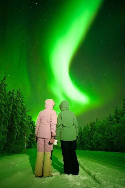 Rovaniemi: Guaranteed Northern Lights & Photography Tour - Who Will Love This Tour?