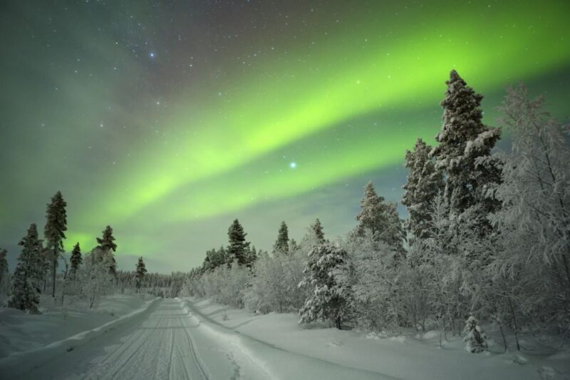 Rovaniemi: Guided Northern Lights Tour - Who Will Love This Tour?