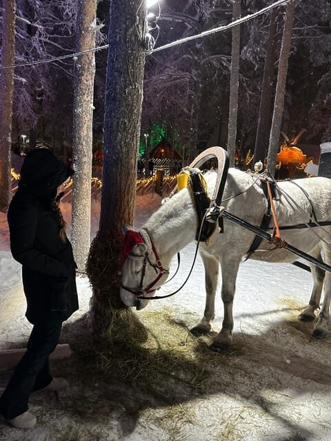 Rovaniemi: Guided Tour of Santa Claus Village - Key Points