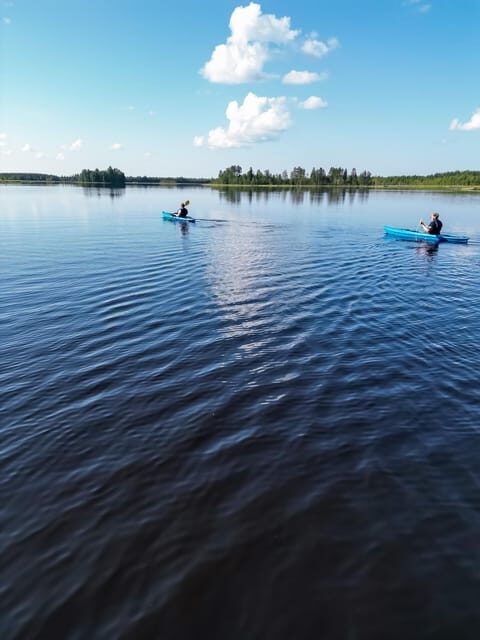 Rovaniemi: Guided Wilderness Kayaking Adventure - Who Will Enjoy This Tour?