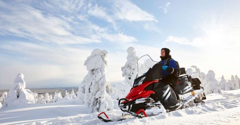 Rovaniemi: Guided Wilderness Snowmobile Ride - Who Would Love This Tour