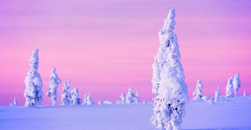 Rovaniemi: Half-Day Snowmobile & Ice Fishing Experience - FAQ