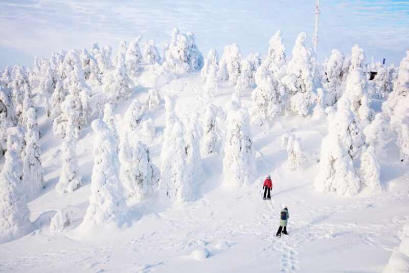 Rovaniemi: Hiking and Snowshoeing Adventure in Lapland - An In-Depth Look at the Rovaniemi Snowshoeing Tour