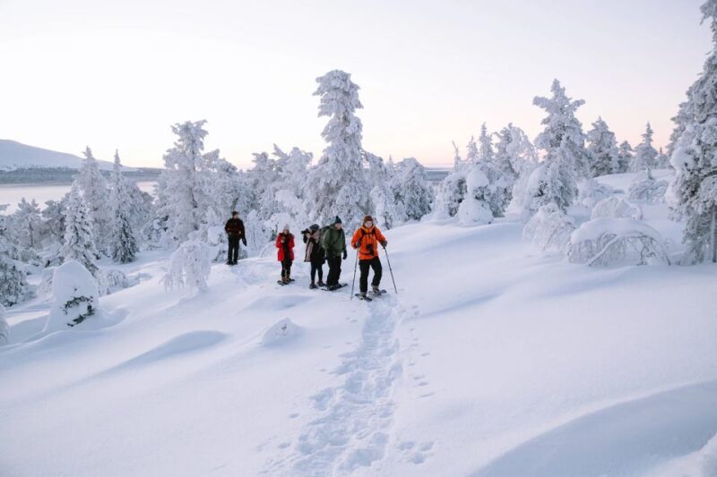 Rovaniemi: Hiking and Snowshoeing Adventure in Lapland - Practical Details