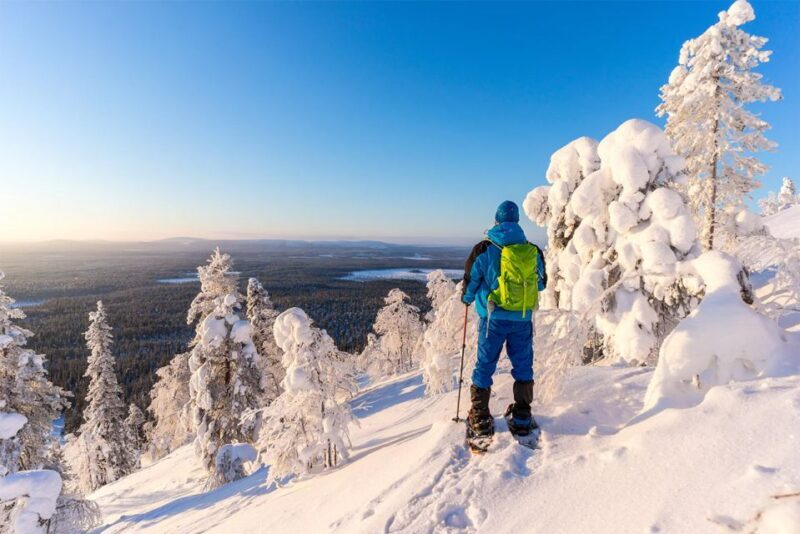Rovaniemi: Hiking and Snowshoeing Adventure in Lapland - Final Thoughts: Is This Tour Worth It?