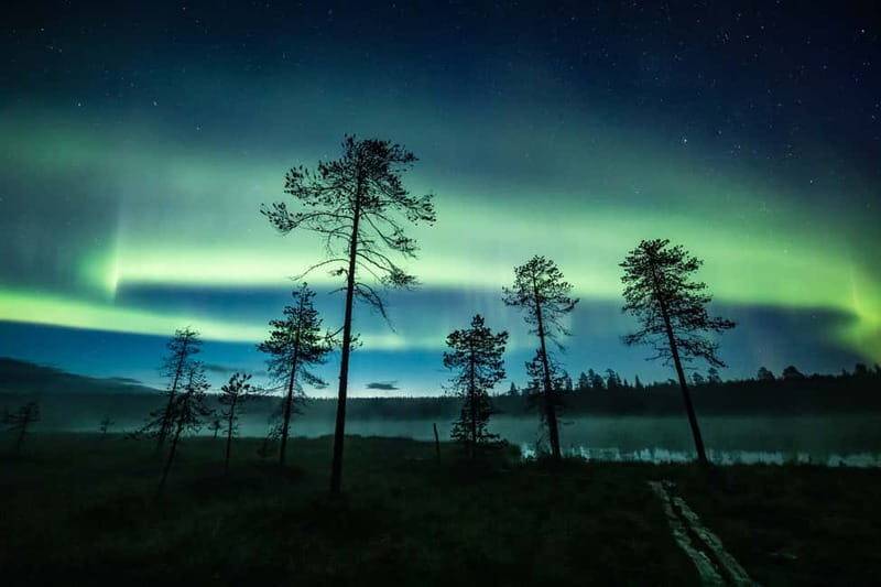 Rovaniemi: Horse Sleigh Ride under the Night Sky - The Sum Up: Who Is This Tour Best For?