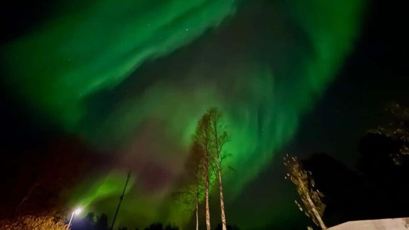 Rovaniemi: hunting for the Northern Lights with BBQ - What Travelers Say