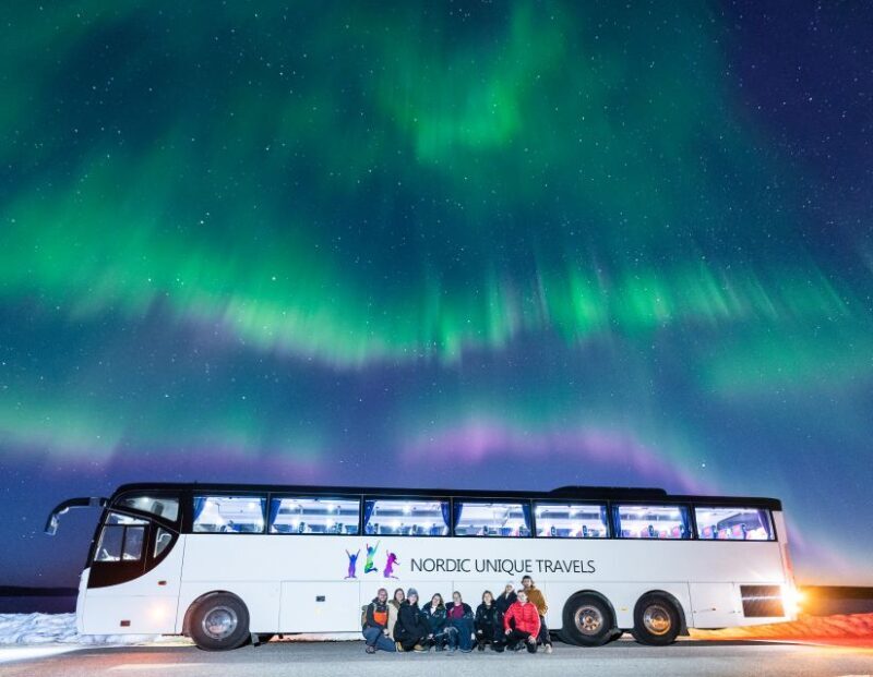 Rovaniemi: Hunting Northern Lights Bus Tour - Key Points