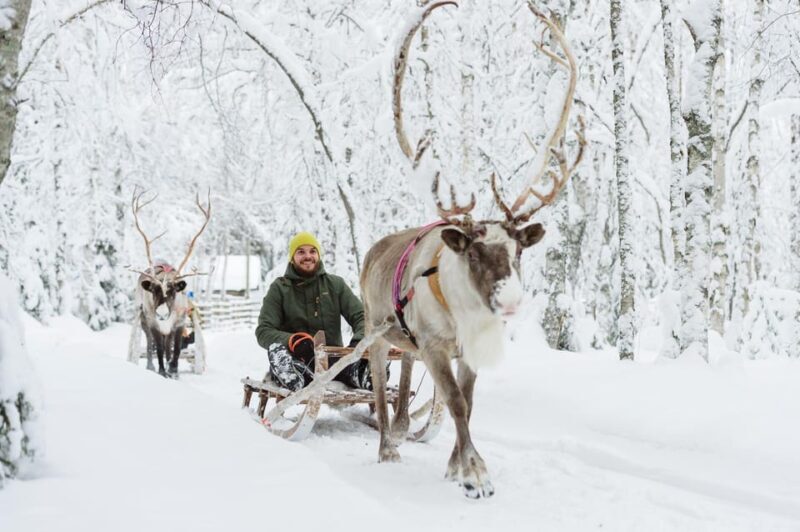 Rovaniemi: Husky and Reindeer farm with sleigh ride - Key Points