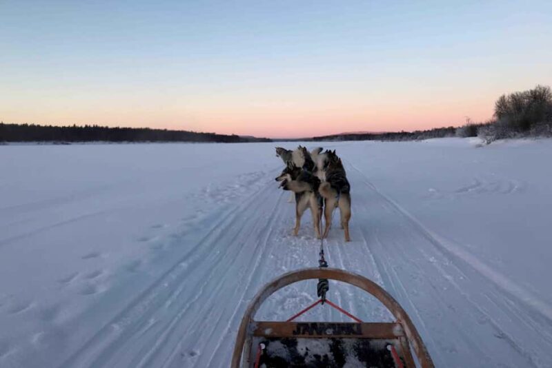 Rovaniemi: Husky Experience and Sled Ride with Pro Photos - Authentic, Responsible, Memorable  