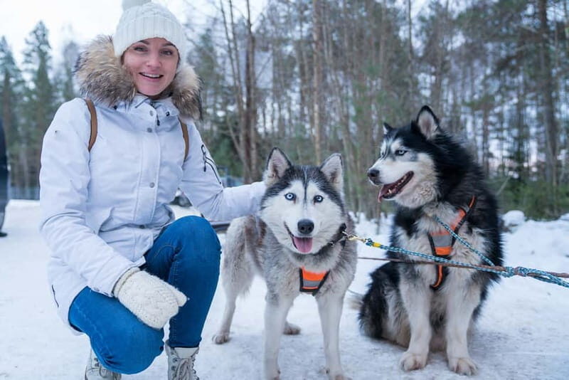 Rovaniemi: Husky Farm and Reindeer Experience - Detailed Breakdown of the Experience