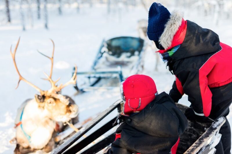 Rovaniemi: Husky & Reindeer Experience with Snowmobile Ride - FAQ