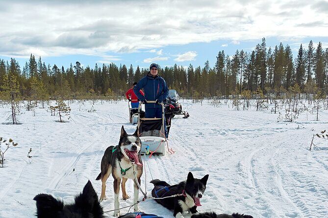 Rovaniemi Husky Safari - Self Drive Adventure 6-10km + BBQ - Key Points