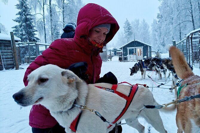 Rovaniemi Husky Safari - Self Drive Adventure 6-10km + BBQ - Who This Tour Is Best For