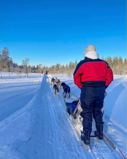 Rovaniemi: Husky Safari with Transfers & BBQ - Frequently Asked Questions (FAQs)
