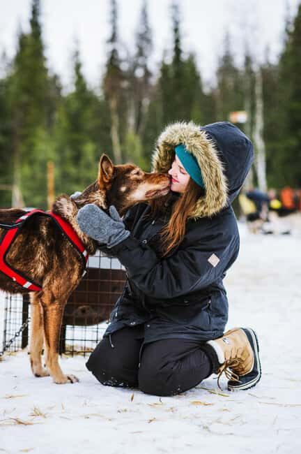 Rovaniemi: Husky Sled Ride and Farm Visit - Who Would Enjoy This Tour?
