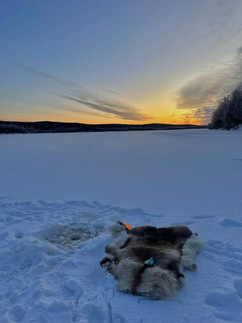 Rovaniemi: Ice Fishing The Finnish Way - What to Expect from the Experience