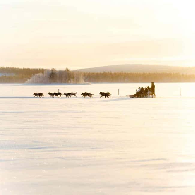 Rovaniemi: Insider 10 km Husky Sled Ride - Why This Husky Sled Ride Stands Out