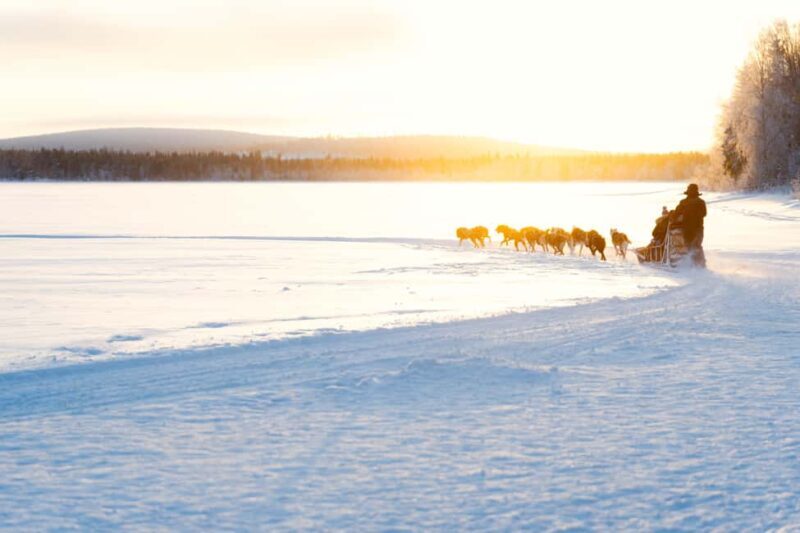 Rovaniemi: Insider 10 km Husky Sled Ride - Practical Aspects & Value