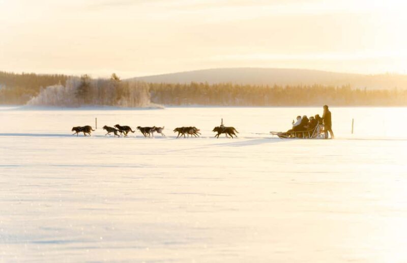 Rovaniemi: Insider 5km Husky Self Drive Tour - Authenticity, Guides, and Overall Experience