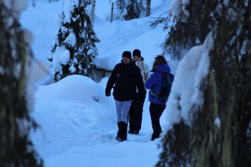 Rovaniemi: Korouoma Canyon and Frozen Waterfalls Tour - Who Should Consider This Tour?