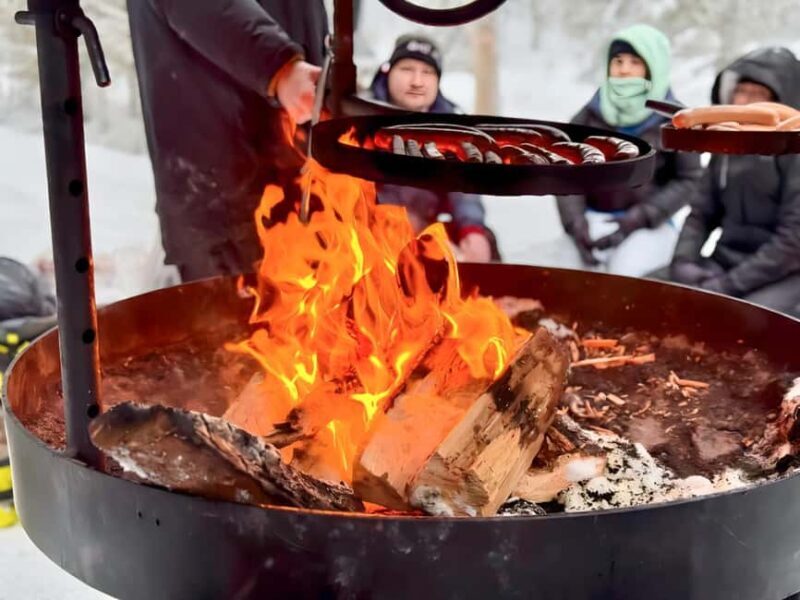 Rovaniemi: Korouoma Canyon Frozen Waterfalls Hike & BBQ - Final Thoughts