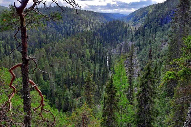 Rovaniemi Korouoma Canyon Hike and Barbecue Experience - Rovaniemi Korouoma Canyon Hike and Barbecue Experience Review