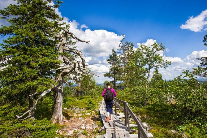 Rovaniemi Korouoma Canyon Hike and Barbecue Experience - Key Points