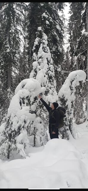 Rovaniemi: Korouoma Frozen Waterfalls Hike & Hot BBQ Lunch - Exploring Korouoma Canyon: A Visual Feast